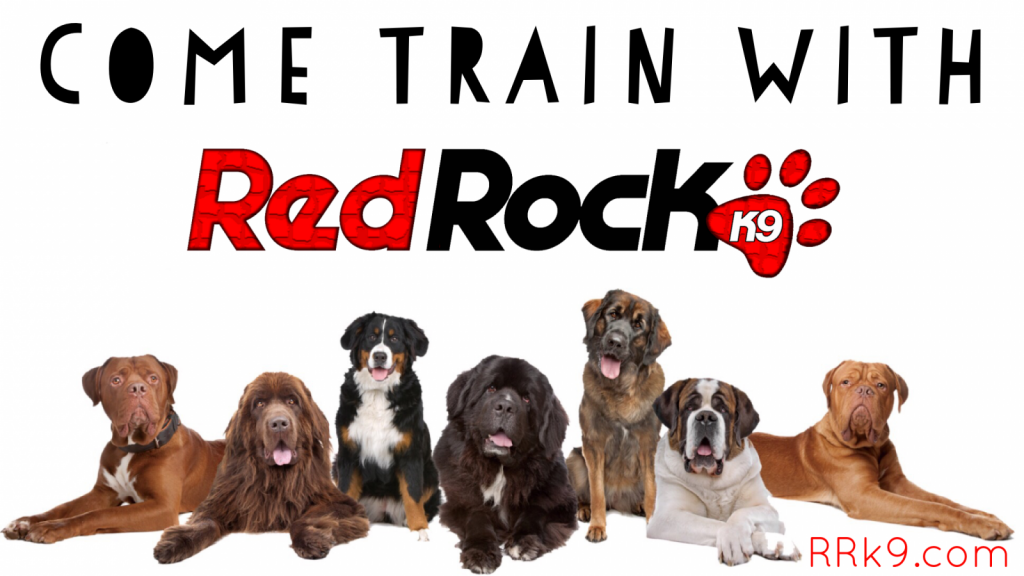 Red Rock K9 German Shepherds